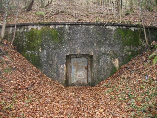 VERY RARE ORIGINAL TILE FROM ADOLF HITLER’S BUNKER UNDER THE BERGHOF ...