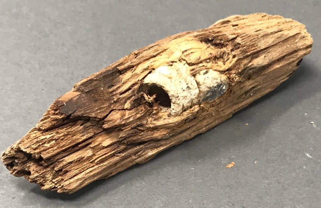 Civil War Bullet Embedded In Wood Recovered At Richmond Battlefield