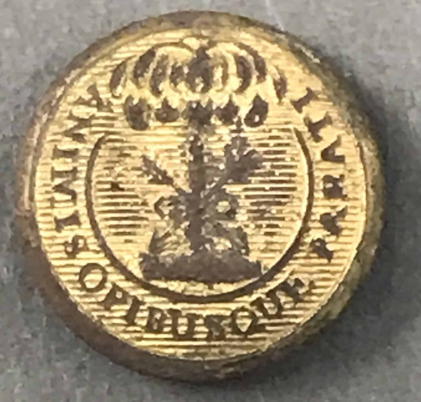 Explore Confederate South Carolina Button at Spotsylvania
