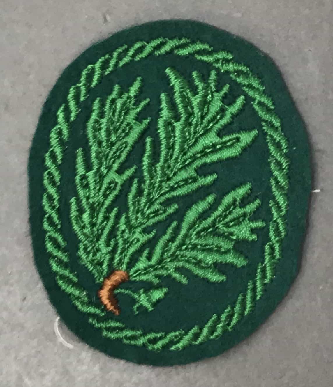 Rare WWII Jager Division Badge: A Collector's Treasure