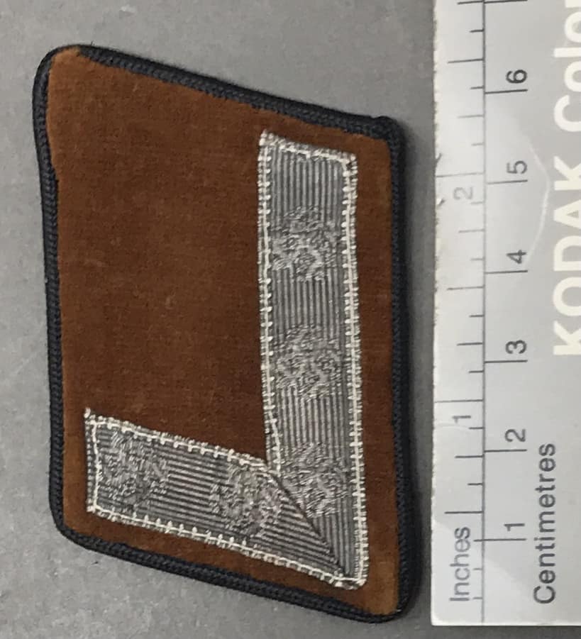 Discover WWII Relic: Authentic NSDAP Brown Shirts Tab