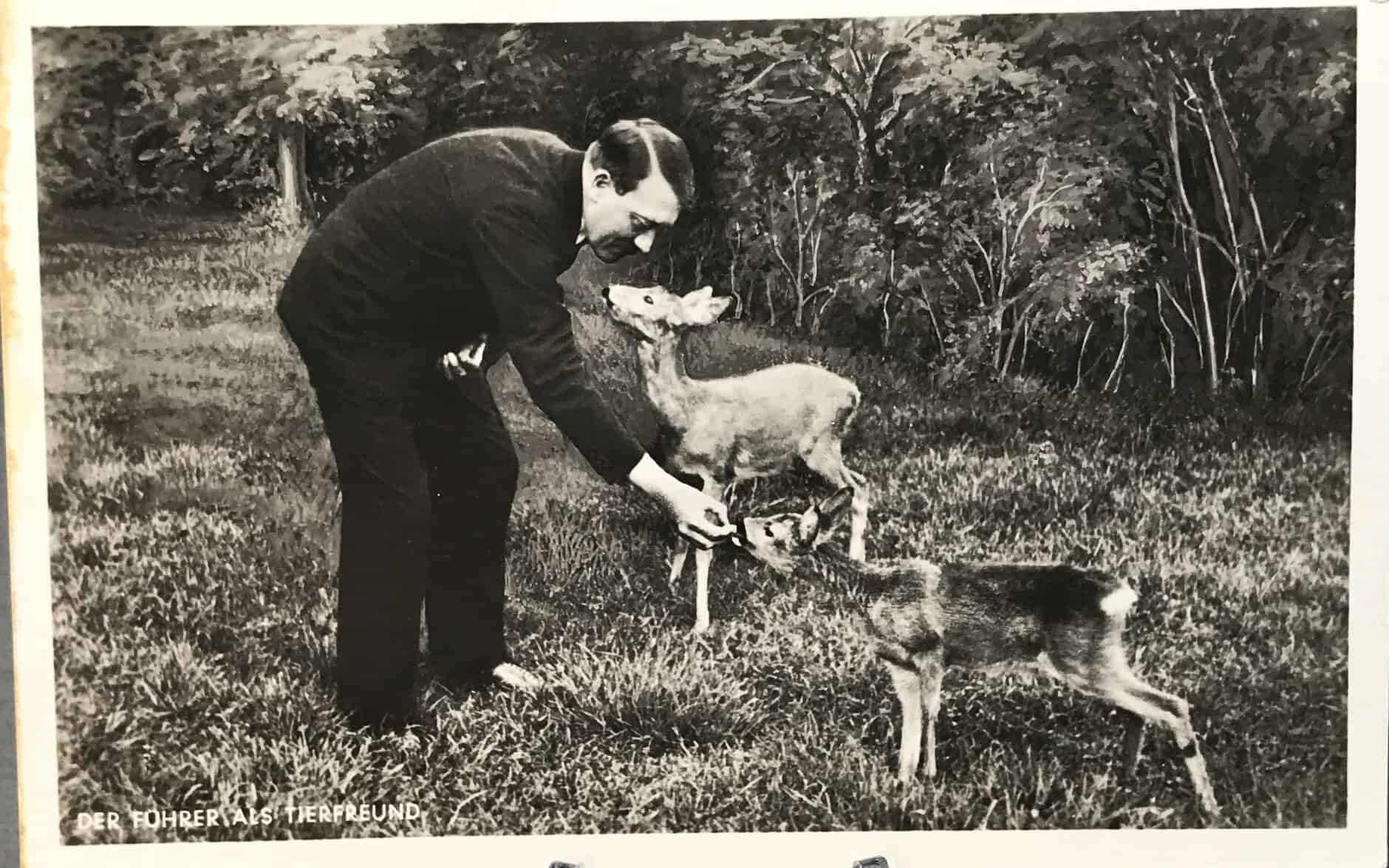 1934 Hoffman Photo: Hitler Feeding Fawn—Museum COA