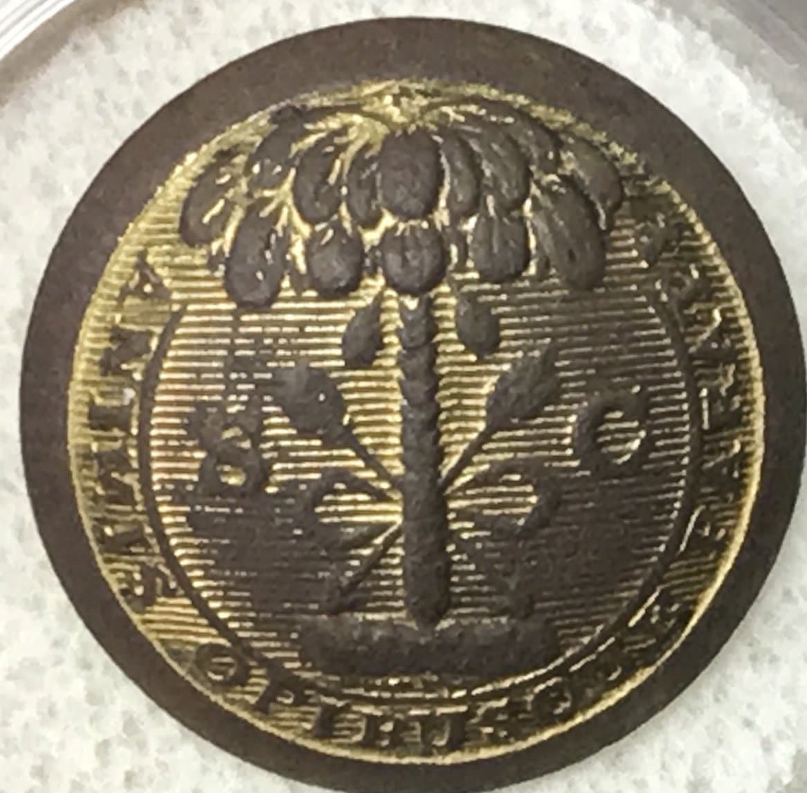 Exploring Confederate History: The SC Button with Gilt