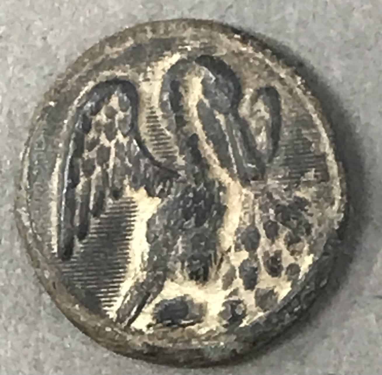 Discover Confederate PELICAN Button from Caroline County VA