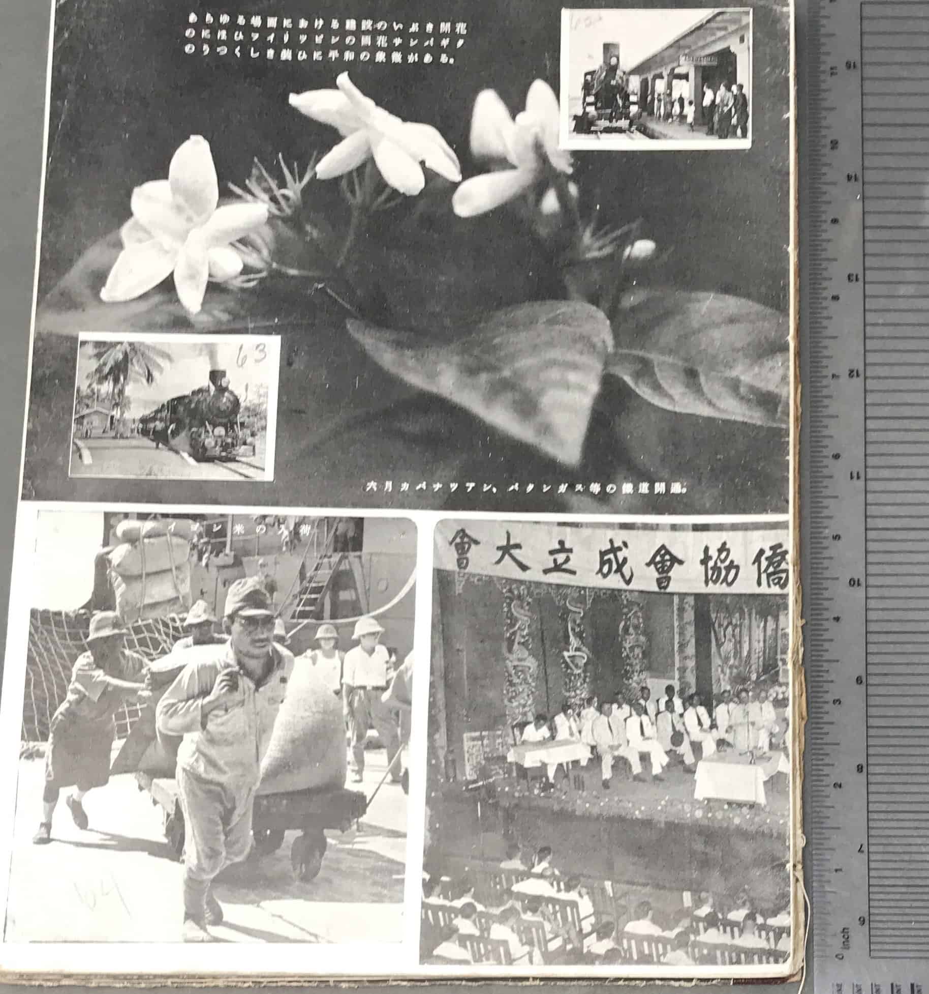 Discover Rare WWII Japanese Military Service Book Legacy