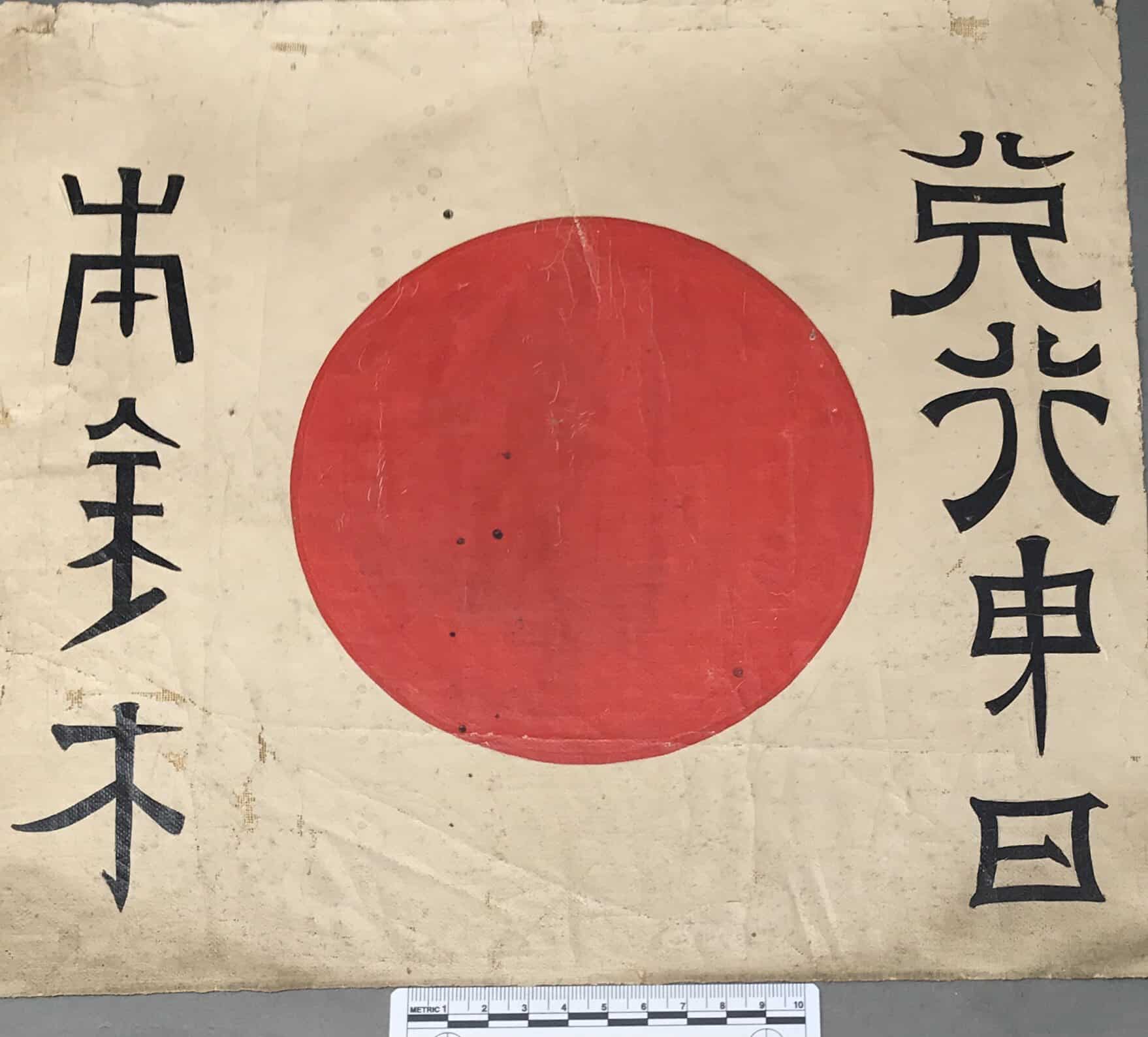 Own Original WWII Japanese Aircraft Skin with Flag & Kanji