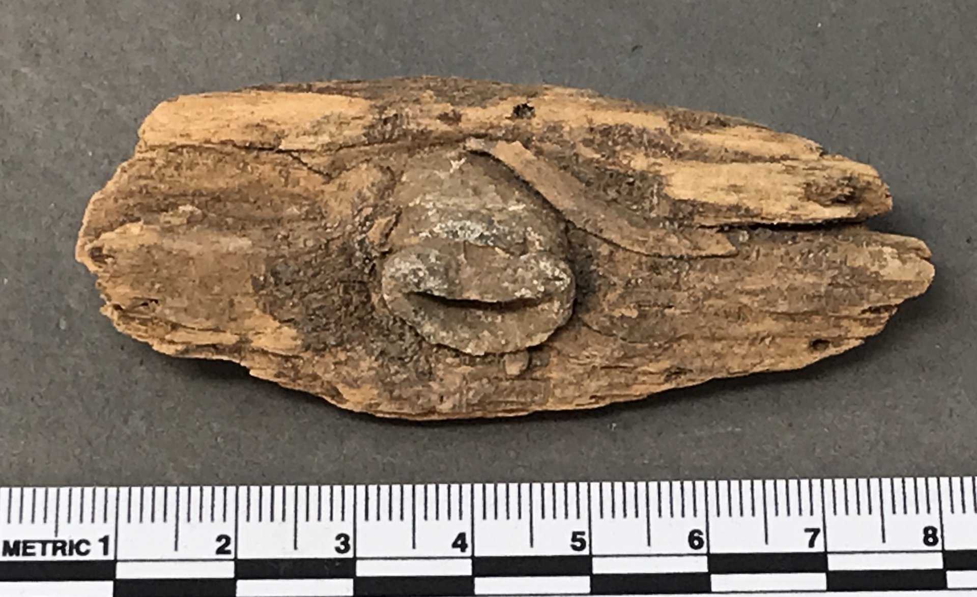 Civil War Bullet Embedded in Wood - Fort Blakely | COA