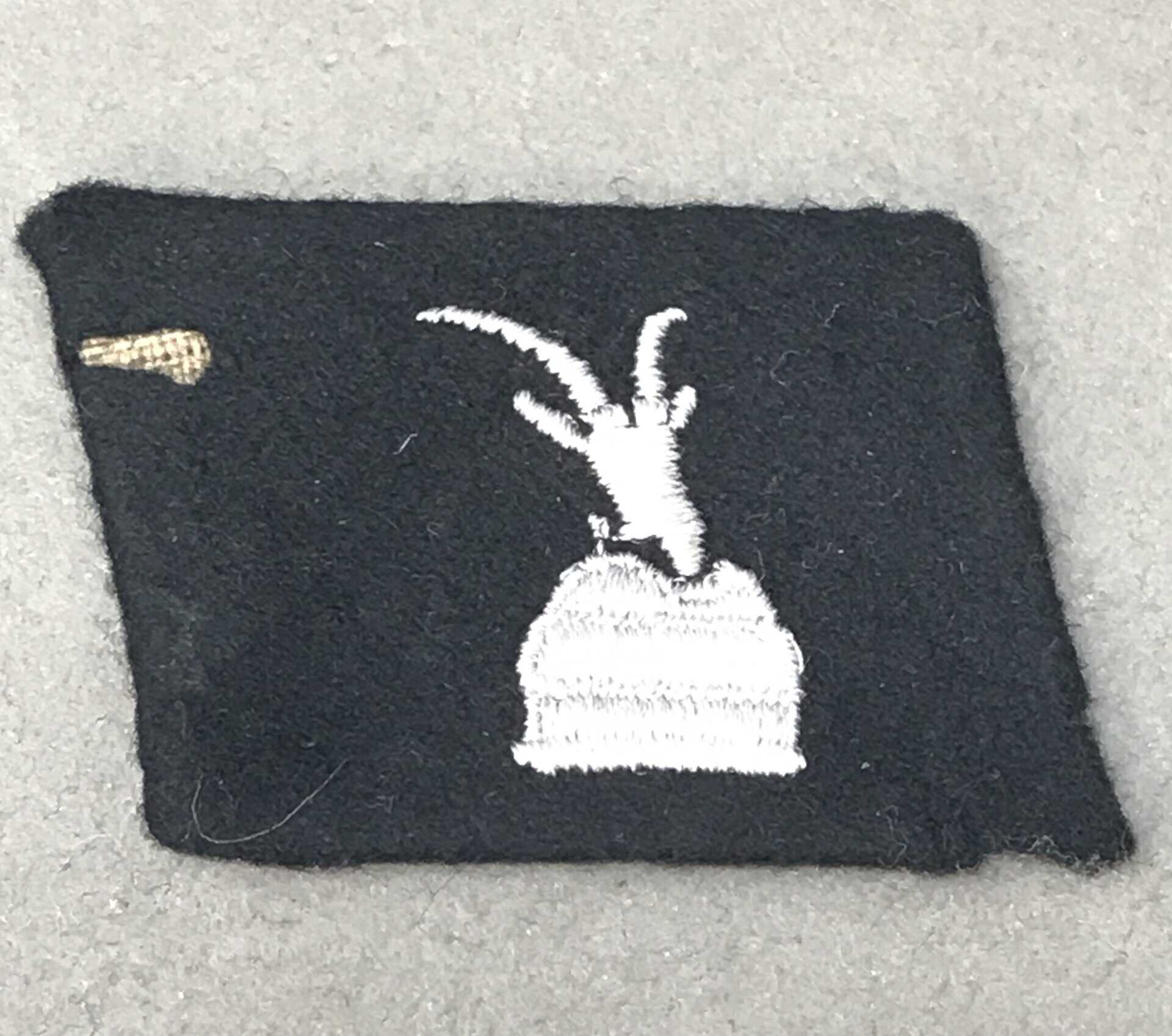 WWII German SS "Skanderbeg" Collar Tab – Rare Find