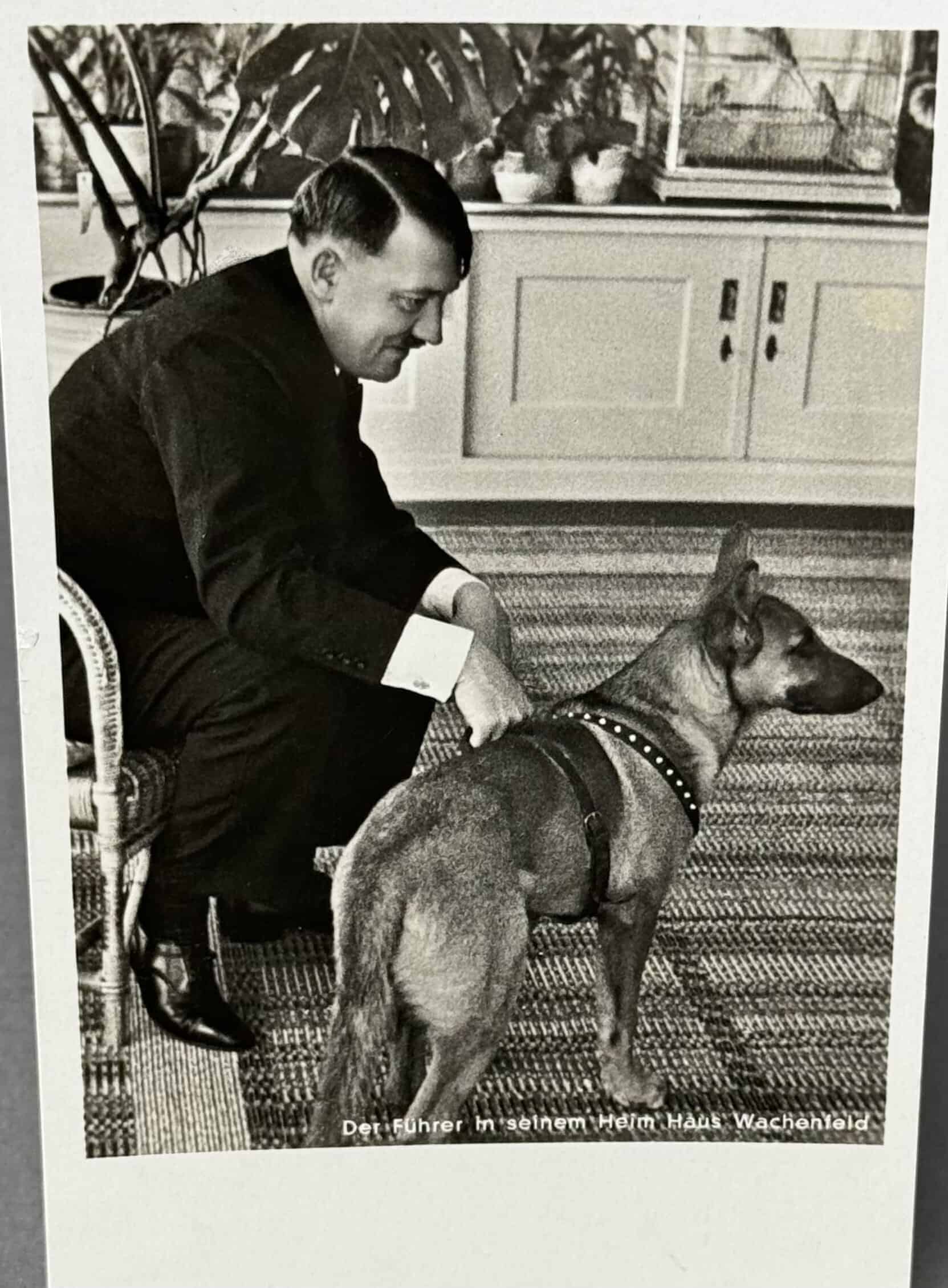 Hoffman Original Adolf Hitler with Dog Postcard – Museum COA