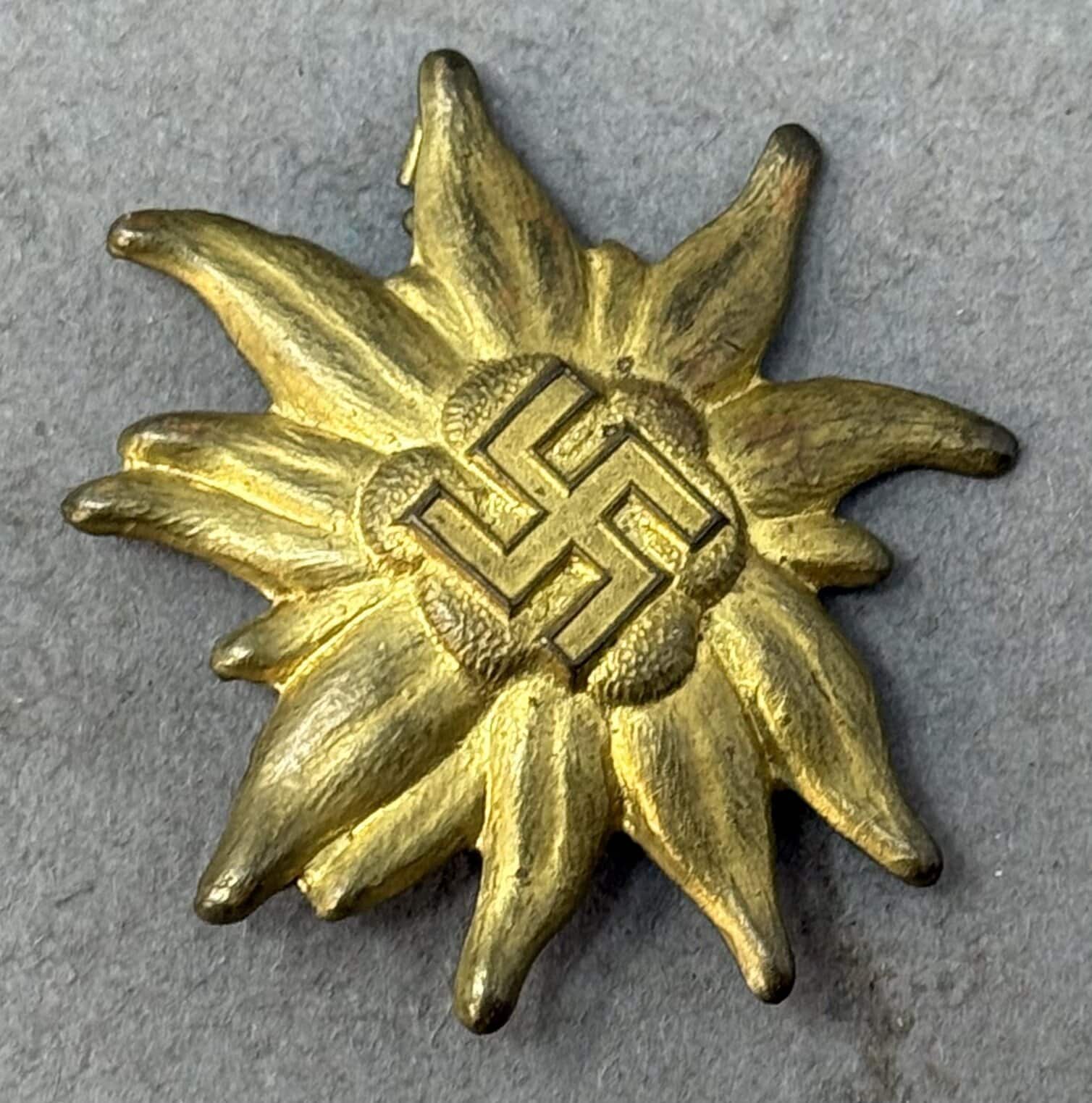 Rare Original WWII SA Hochland Edelweiss Cap Badge COA